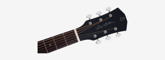 Sire Larry Carlton G5A